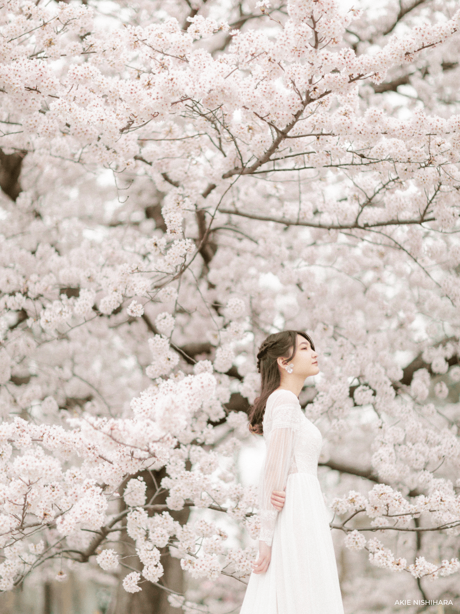 Elevated Spring Photography Inspiration with REFINED Presets – REFINED Co