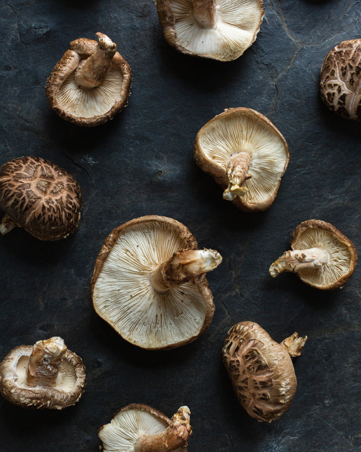 REFINED x Ali Harper Photo Presets | REFINED Co